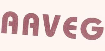 AAVEG Technology Pvt. Ltd. | PotatoPro