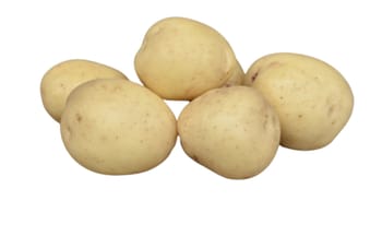 ALASKA GOLD | PotatoPro