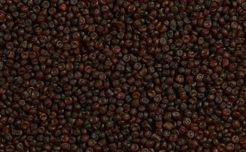 Almounajed Micro Pellets (Beetroot) | PotatoPro