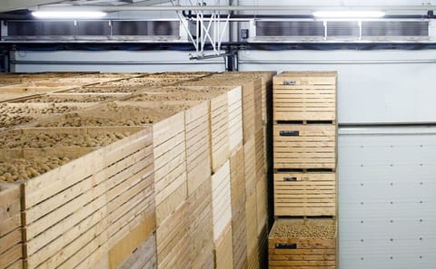 ENGIE Potato Storage Concept with Mechanical Ventilation Only | PotatoPro