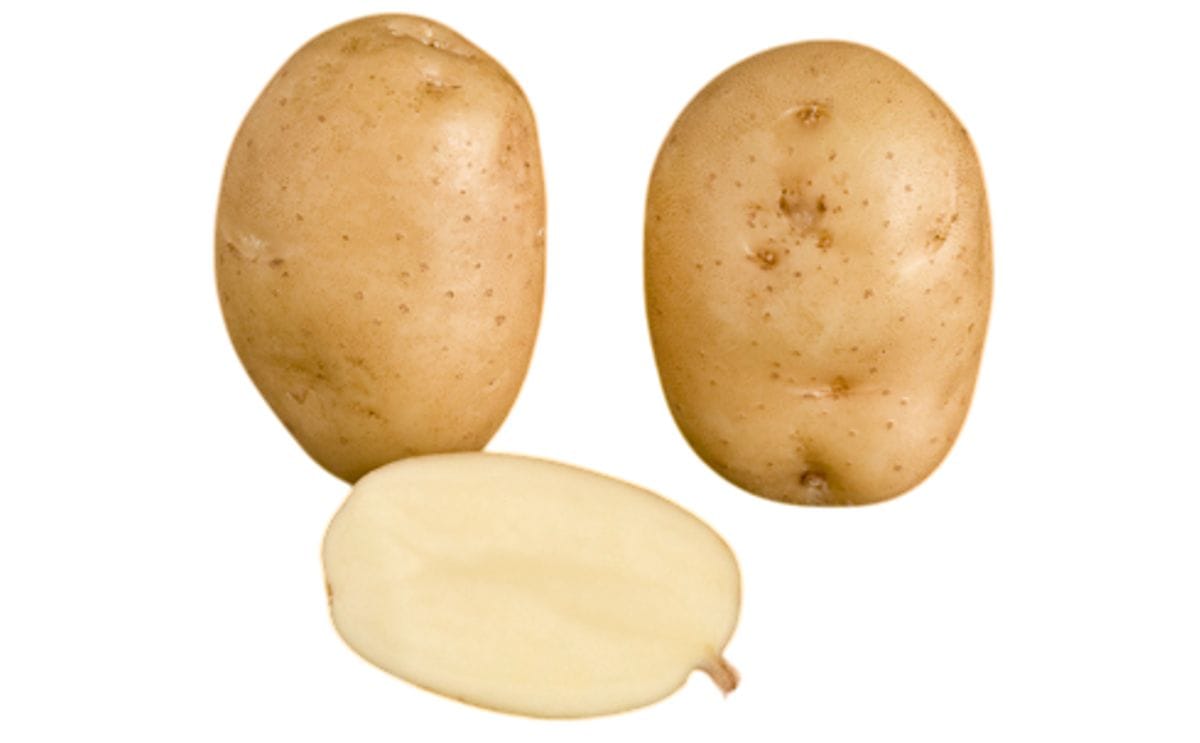 FAMBO | PotatoPro