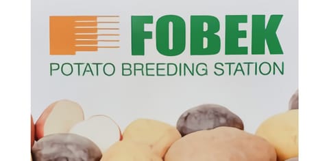 FOBEK BV | PotatoPro
