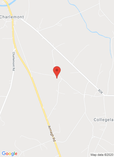 Mackle snacks | PotatoPro