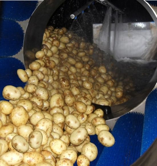 Haith Group introduces new Multi-Wash System for potatoes and other ...