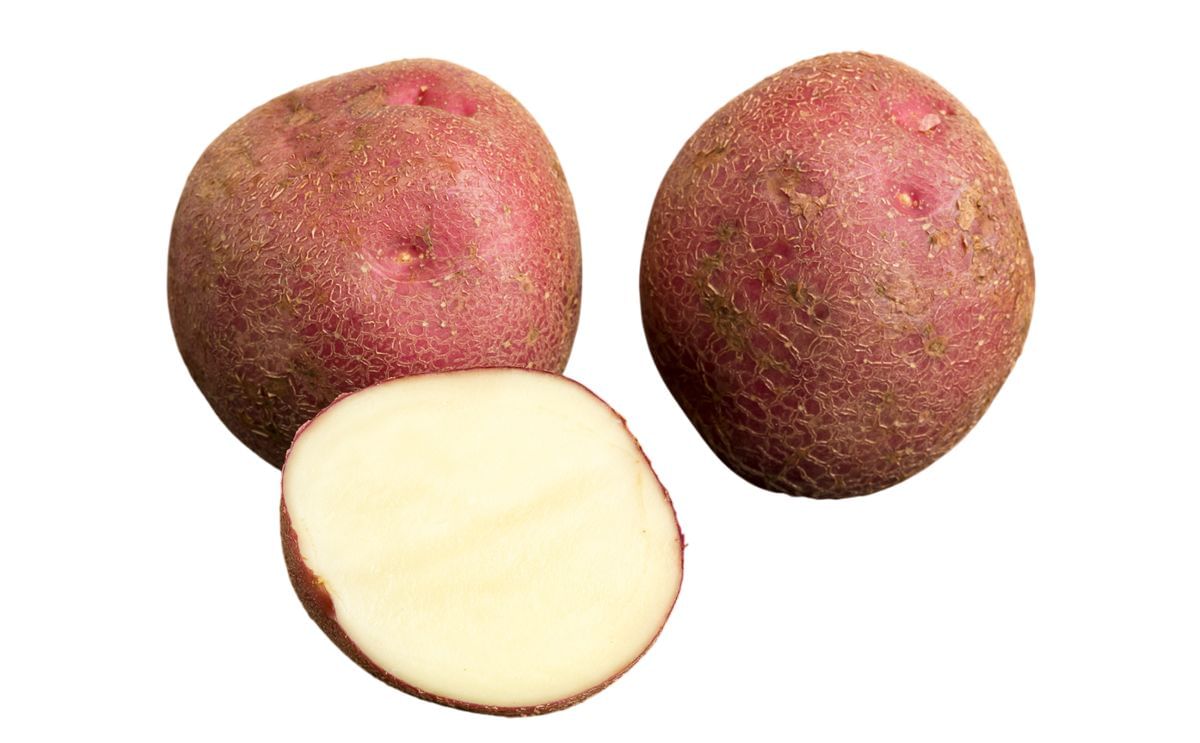 INFINITY | PotatoPro