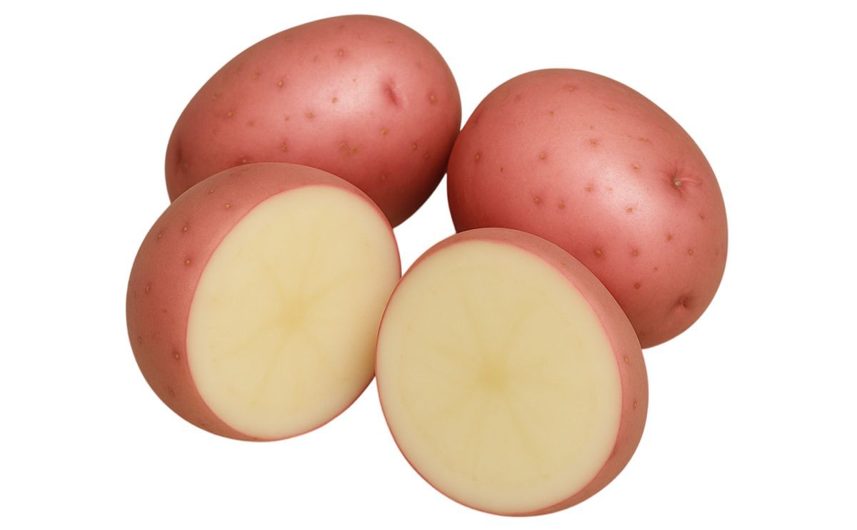 KENYA SIFA | PotatoPro