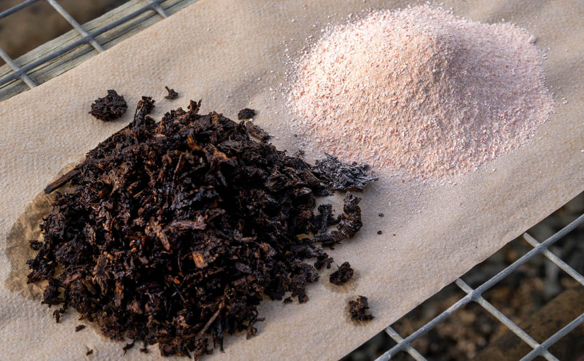 University of Maine researchers are testing lobster shells to thwart ...