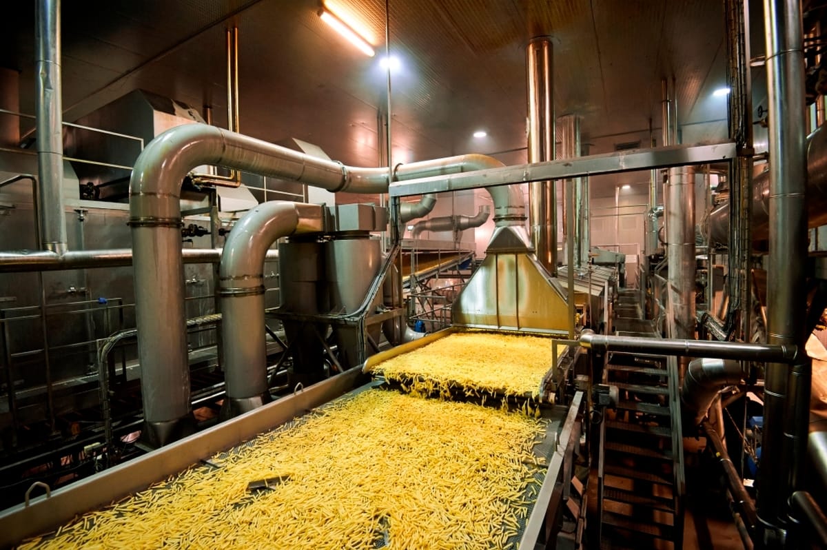 Lutosa adds a new French Fry processing line in Leuze-en Hainaut ...