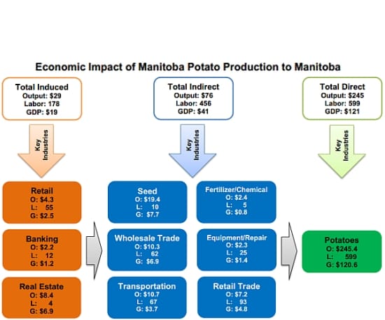 The economic impact of the potato industry in Manitoba | PotatoPro