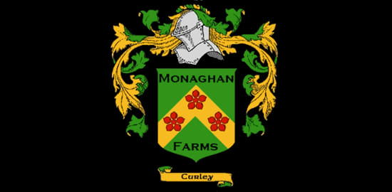 Produce Potatoes for Processing in Canada