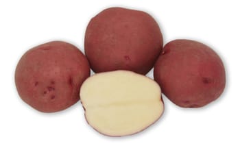 NORLAND RP | PotatoPro