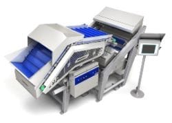 Odenberg to showcase unique benefits of Halo Optical sorter at PMA ...