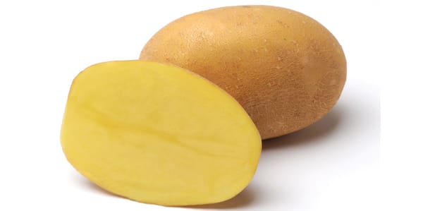 Europlant presents 'low input' potato varieties | PotatoPro