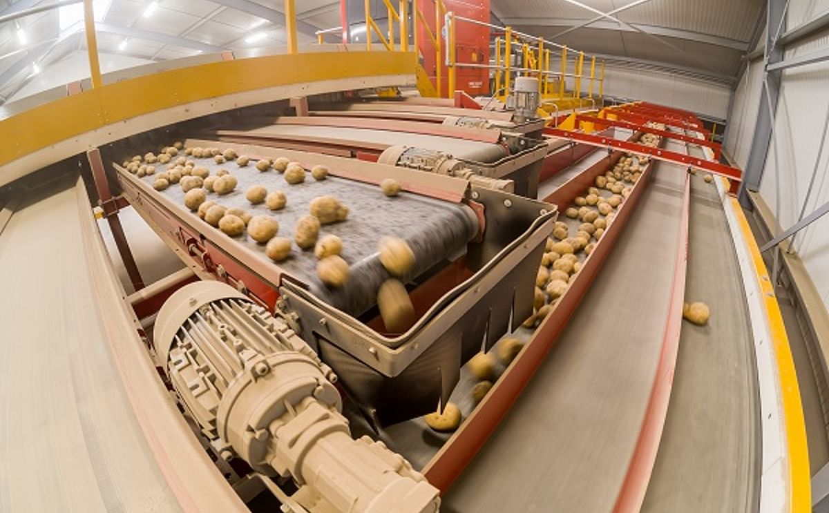 Optical Grading Its The Best Way To Grade Potatoes Potatopro