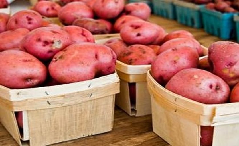 Potandon Produce Begins Shipping Potatoes Out Of Arizona | PotatoPro