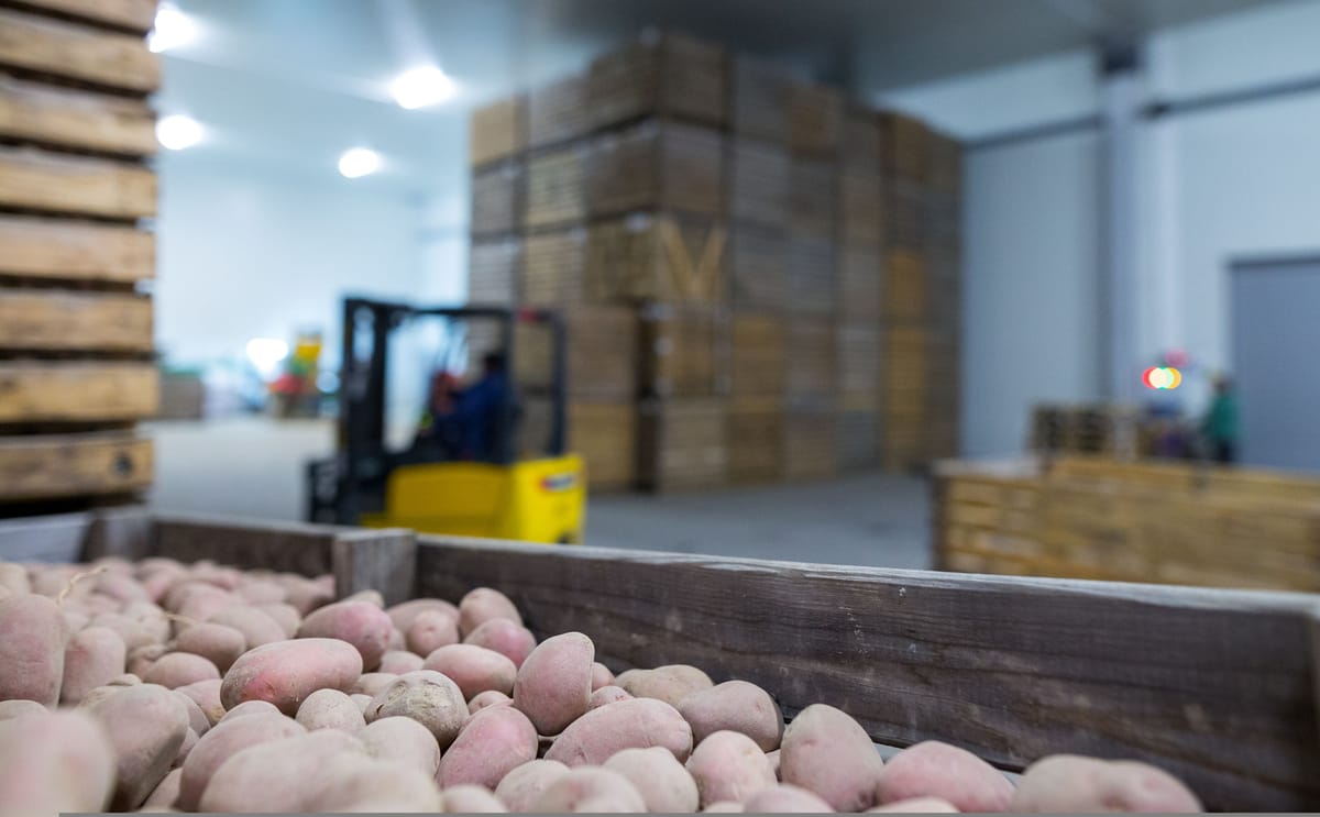 How Agra became India's cold storage hub and what impact it has on ...