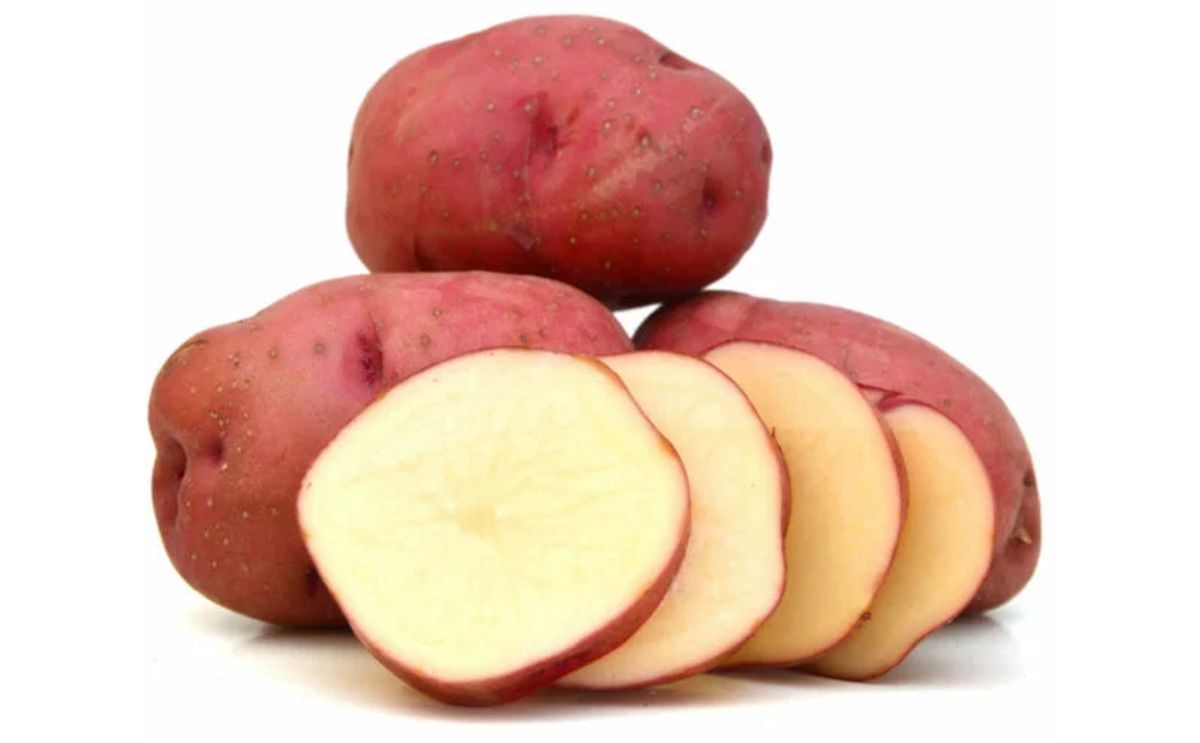 RED BLISS | PotatoPro