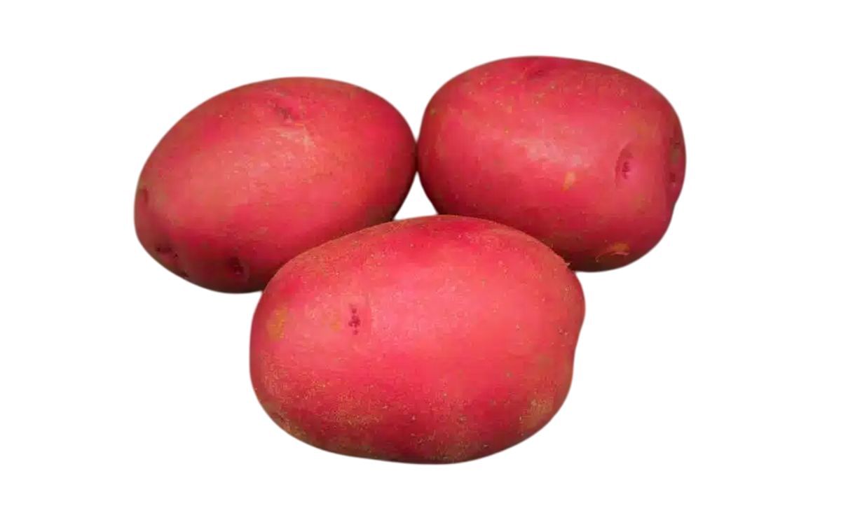 RED PRAIRIE | PotatoPro