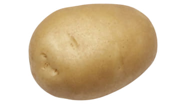 SAGITTA II | PotatoPro