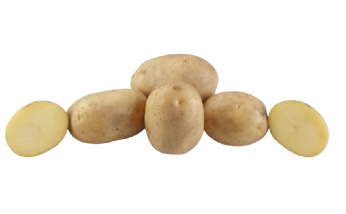 SK Agri Exports Hermes | PotatoPro