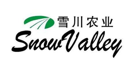 Snow Valley | PotatoPro