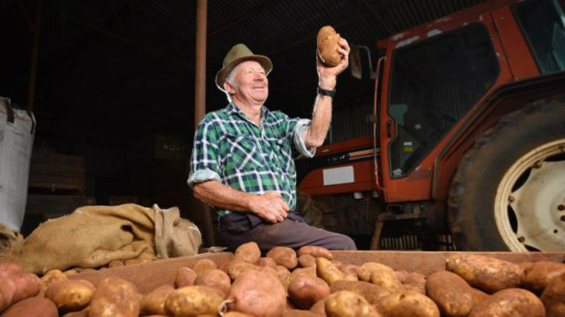 Is there a future for potato farming in the traditional potato patch of ...