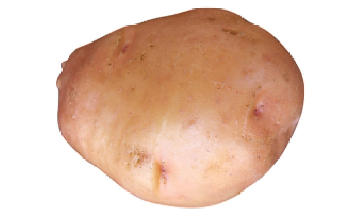 ZIKOMO | PotatoPro